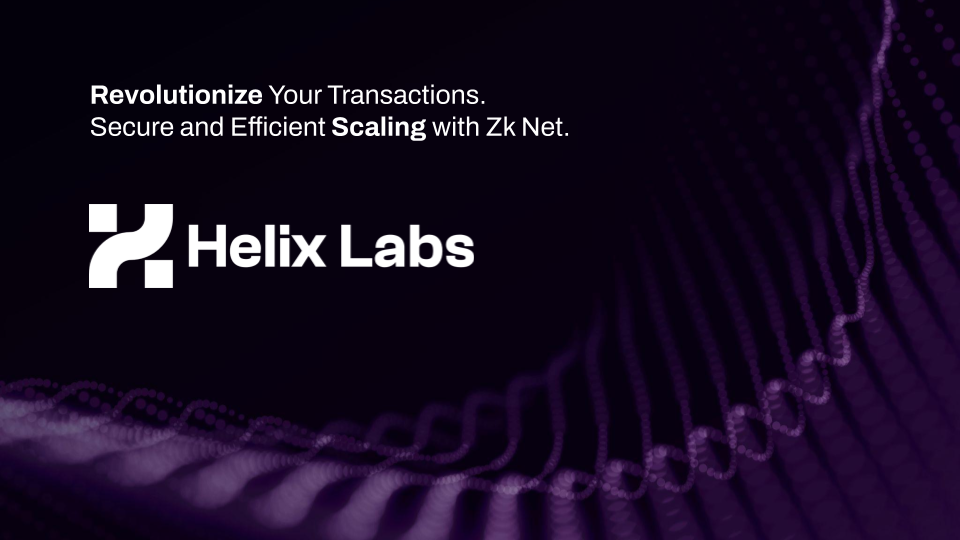 ZkNet by Helix Labs | Buidls | DoraHacks