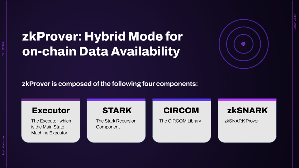 ZkNet by Helix Labs | Buidls | DoraHacks
