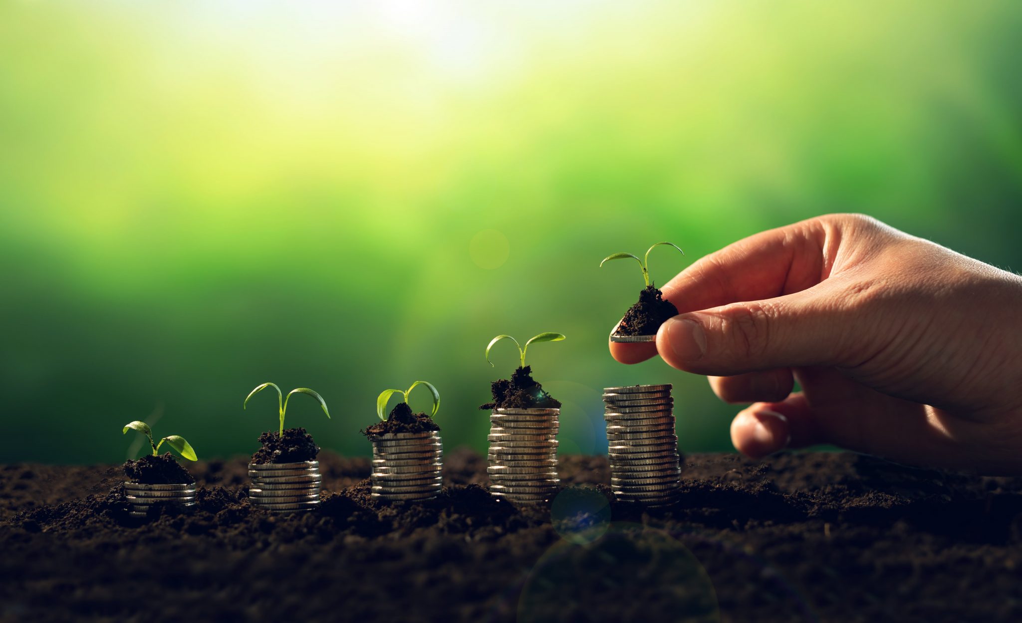 Eco Sort | Buidls | DoraHacks